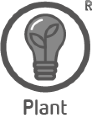 Plant - kenmerken en valkuilen - Teamrollen van Belbin